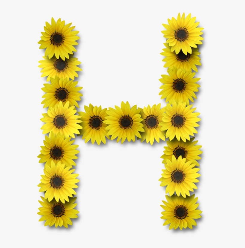 Yellow Flower Letter H Transparent PNG - 576x749 - Free Download on NicePNG