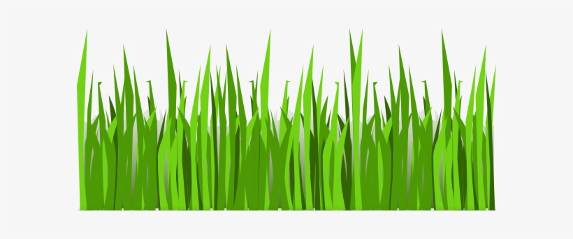 Cookout Border Clipart - Cookout Clip Art Transparent PNG - 600x263 ...