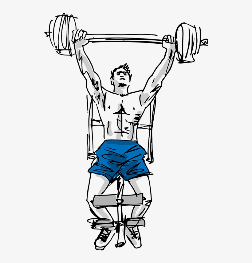 Gym - Sketch Of Strong Transparent PNG - 574x773 - Free Download on NicePNG