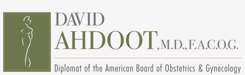 David Ahdoot, Md, Facog - Burbank Transparent PNG - 1204x326 - Free ...