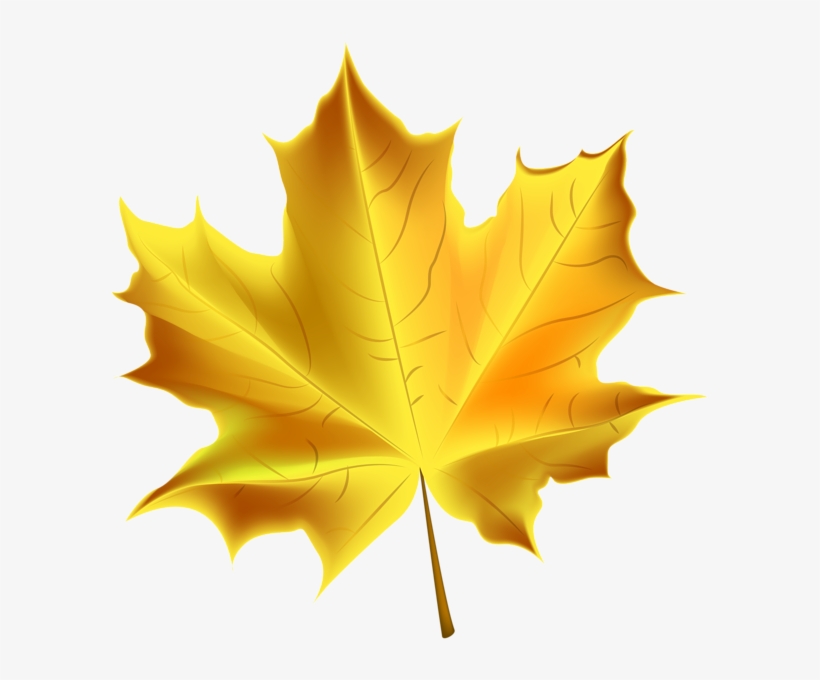 Beautiful Yellow Autumn Leaf Transparent Png Clip Art - Autumn Tree ...