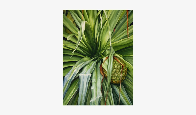 Hala Tree - Plantation Transparent PNG - 600x400 - Free Download on NicePNG