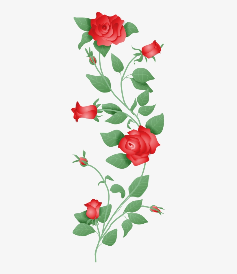 Rosevine2-1 Photo By Winterberry2 - Rose Vine Border Transparent PNG ...