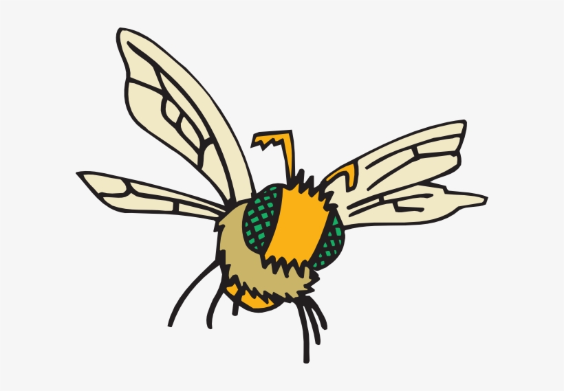 Fuzzy Bee Png Clip Art Transparent PNG - 600x489 - Free Download on NicePNG