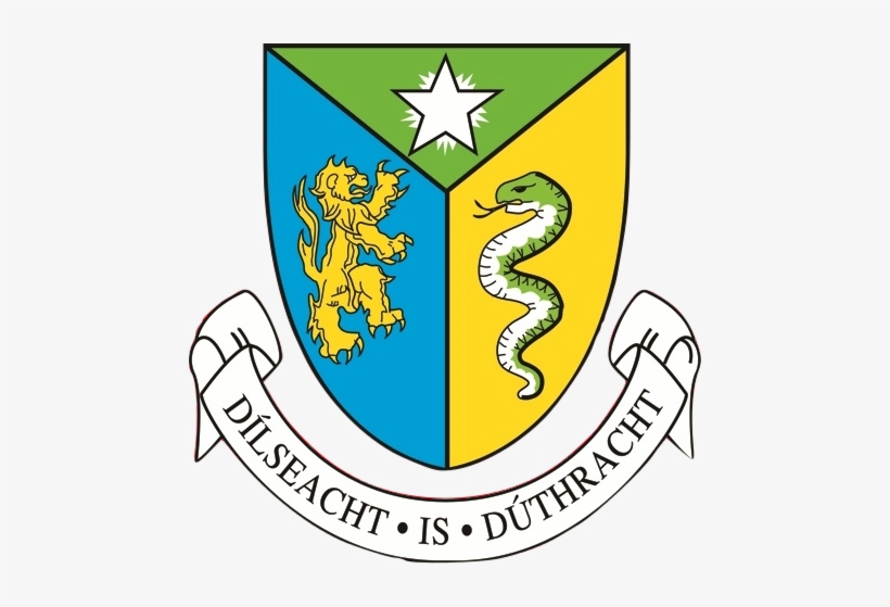 Naas Cbs Logo Transparent PNG - 472x479 - Free Download on NicePNG