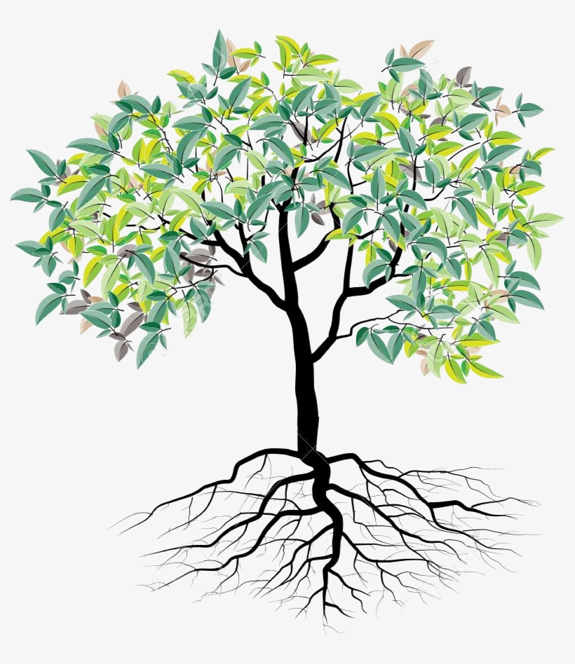 Faith, Family And Roots - Tree With Roots Transparent PNG - 794x868 ...