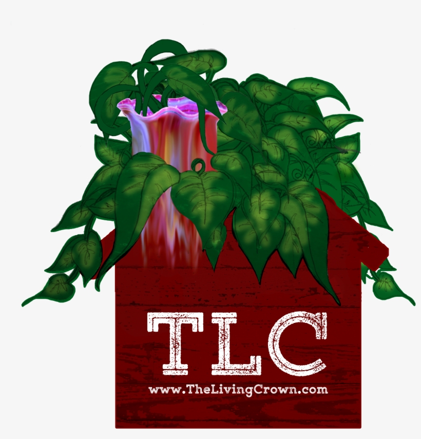 Download Tlc Logo - Logo - HD Transparent PNG - NicePNG.com