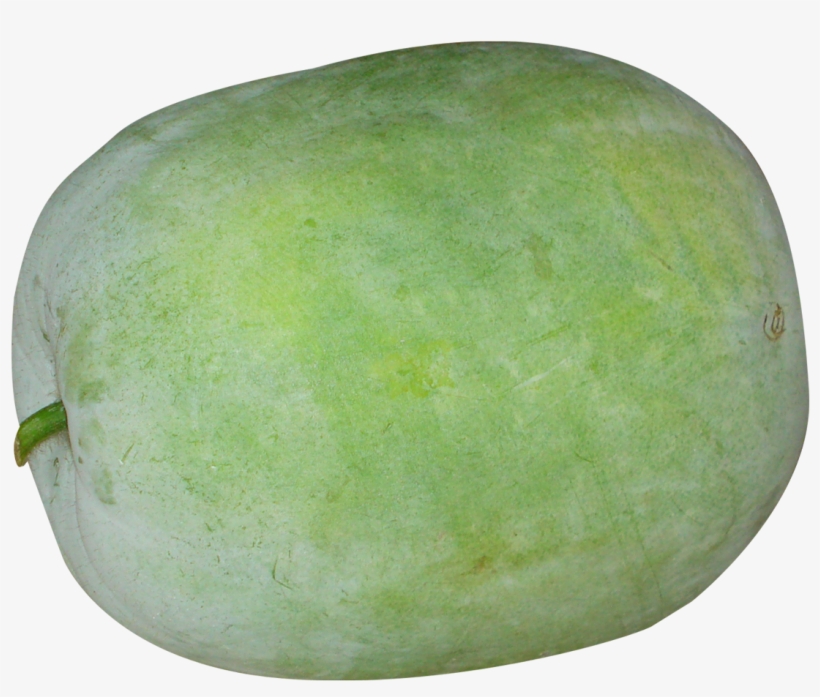 Giant Winter Melon Png Image - Winter Melon Png Transparent PNG ...