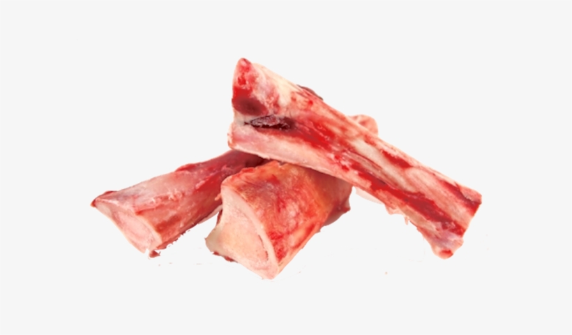 Fresh Beef Marrow Bones - Fresh Beef Bone Transparent PNG - 600x600 ...