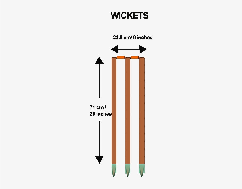 Details Of Cricket Stumps - Afvalbakken Transparent PNG - 480x800 ...