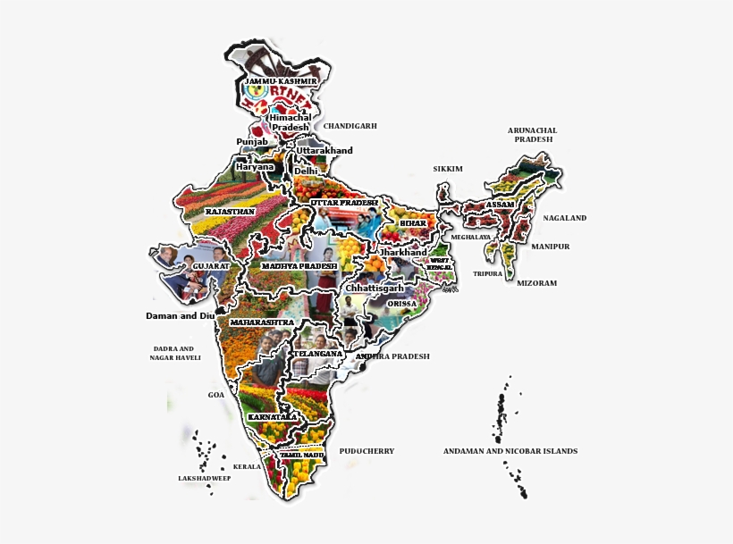 Spice Map Of India Transparent PNG - 494x529 - Free Download on NicePNG