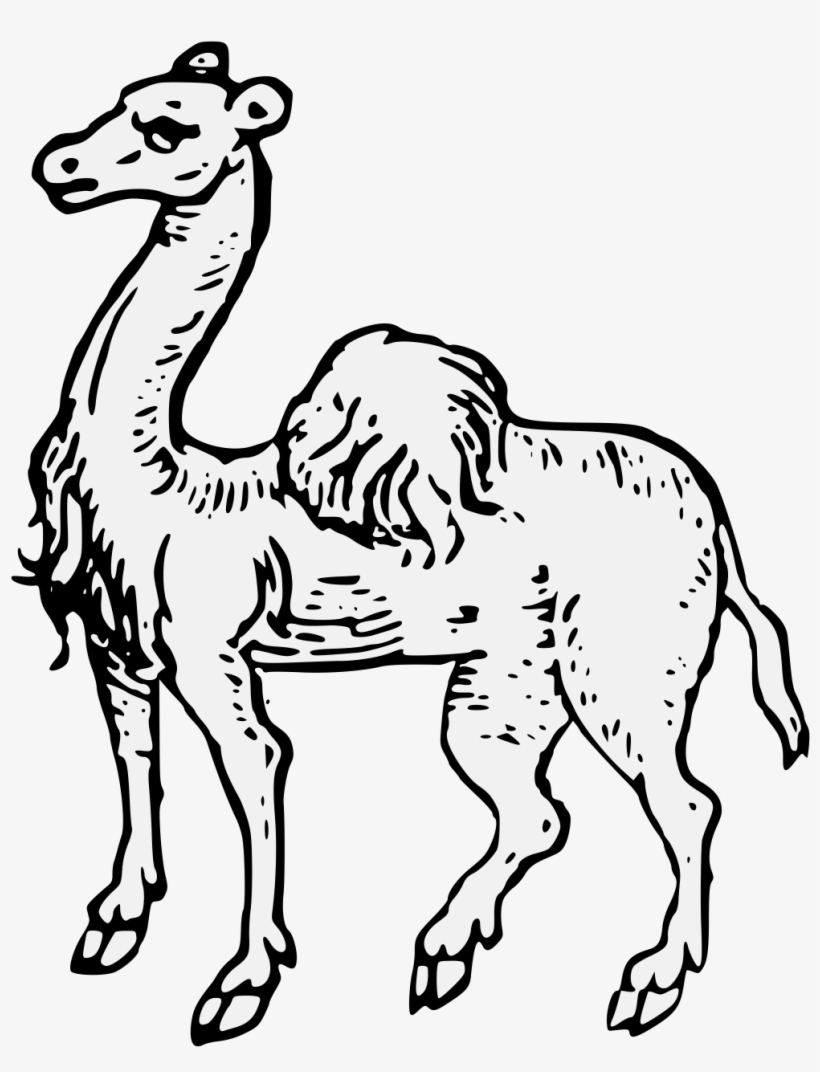 Camel Statant - Camel Heraldry Transparent PNG - 1023x1275 - Free ...