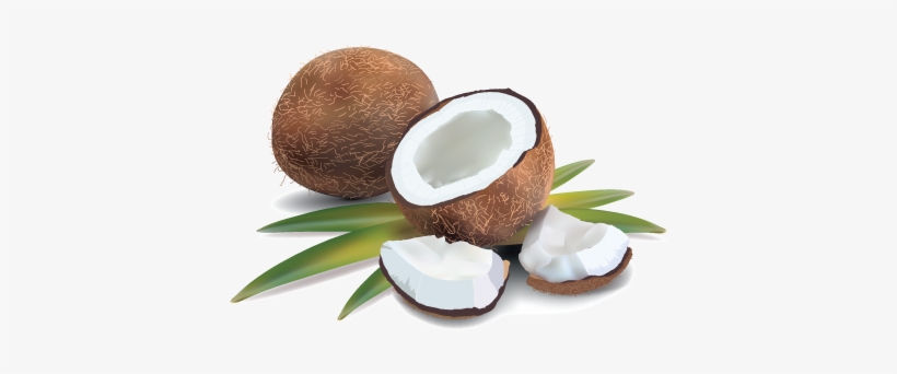 Coconut Cream & Pandan Leaves - Coconut With Pandan Leaf Transparent ...