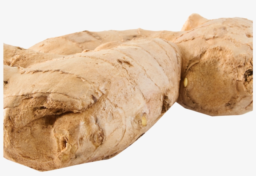 Ginger Png Image2 - Portable Network Graphics Transparent PNG ...