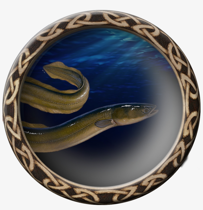 Eel Transparent PNG - 914x900 - Free Download on NicePNG