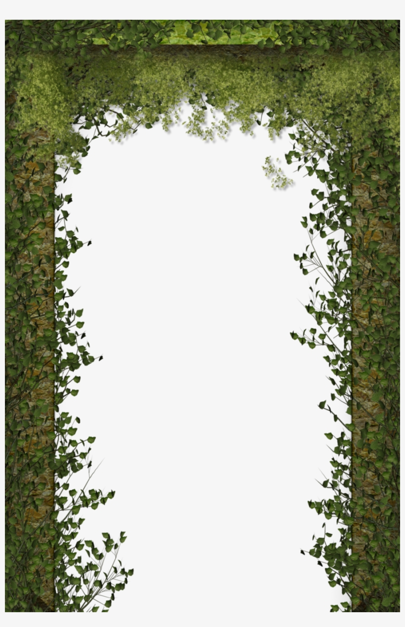 Creeping Flower Png Clipart Clip Art - Creeping Flower Png Transparent ...