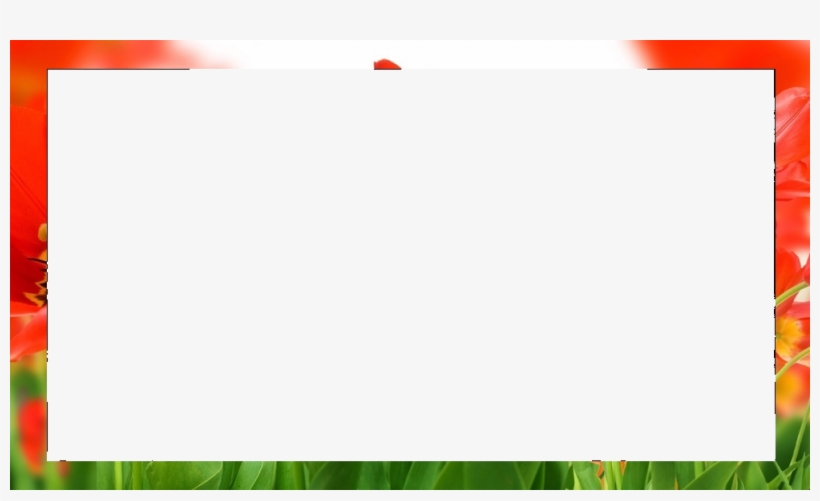 14 Frames Gif Pics - Grass Transparent PNG - 998x562 - Free Download on ...