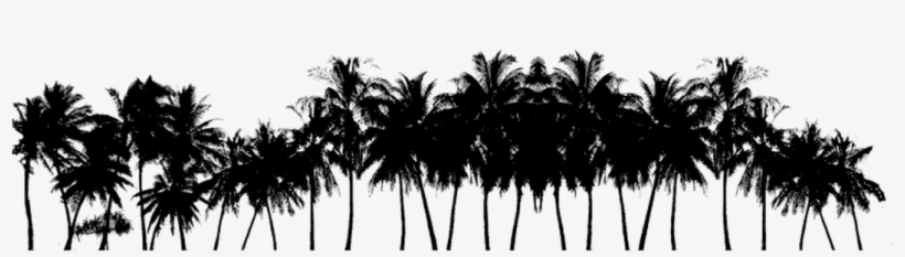 Picture - Palm Trees Png Black Transparent PNG - 1069x252 - Free ...