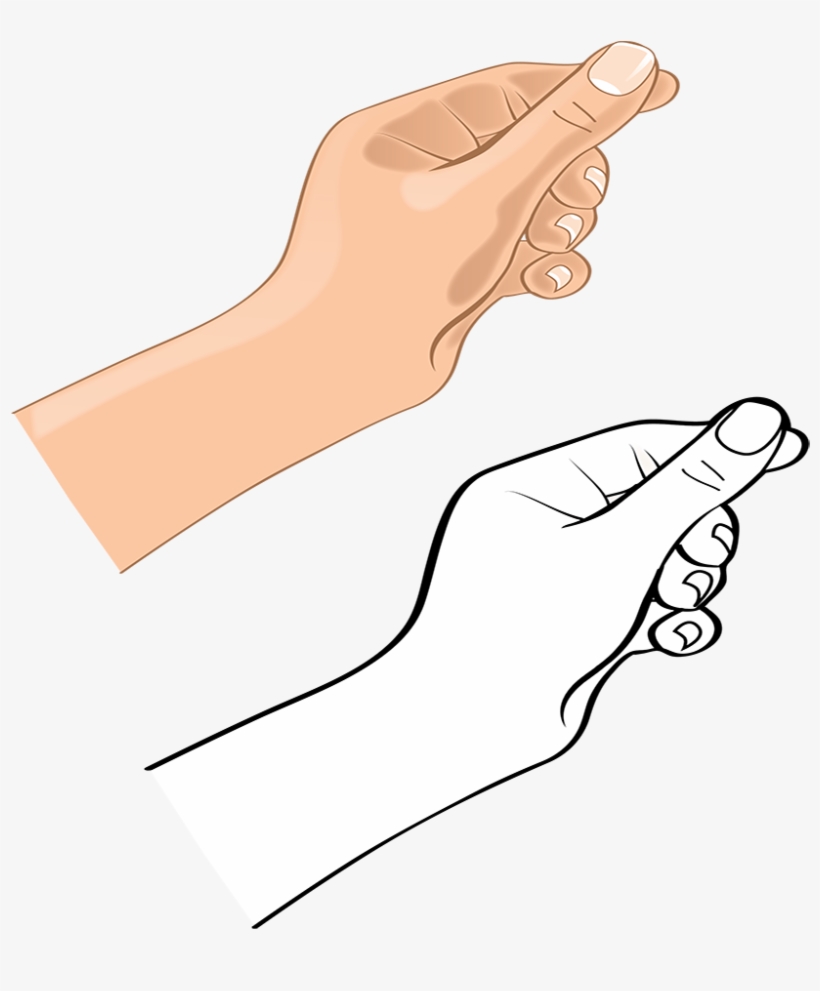 Vector Hand Wrist - Hand Transparent PNG - 768x839 - Free Download on ...