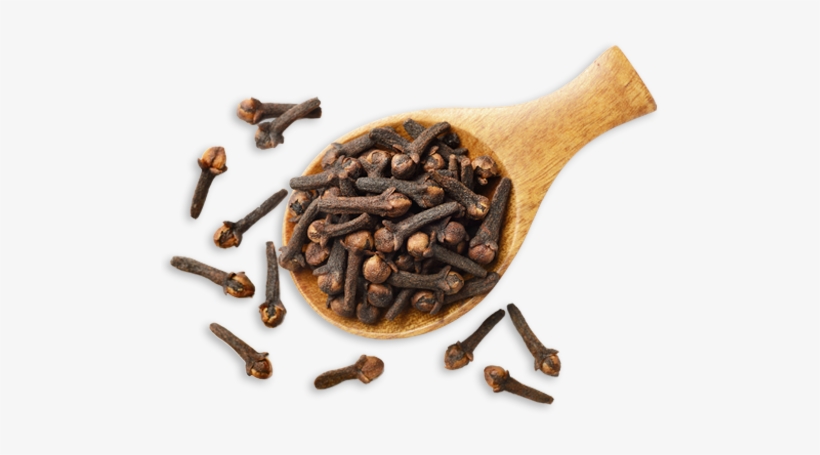 Download Cloves - HD Transparent PNG - NicePNG.com