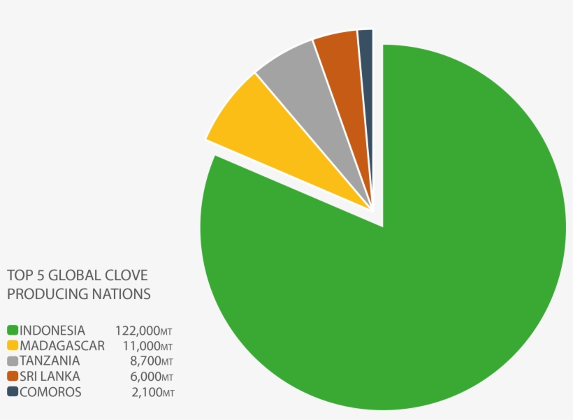 Indonesia Being The Largest Producer Of Cloves Is Also - World Clove ...