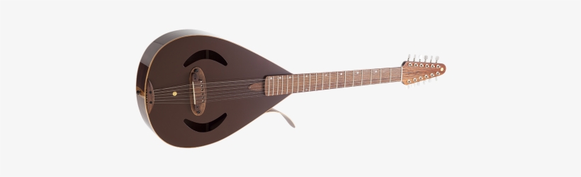 Caspian Acoustic 12-string Sitar Guitar Thumbnail - Sitar Guitar ...