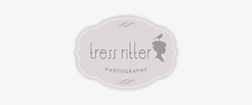 Download Tress Ritter Logo - Label - HD Transparent PNG - NicePNG.com