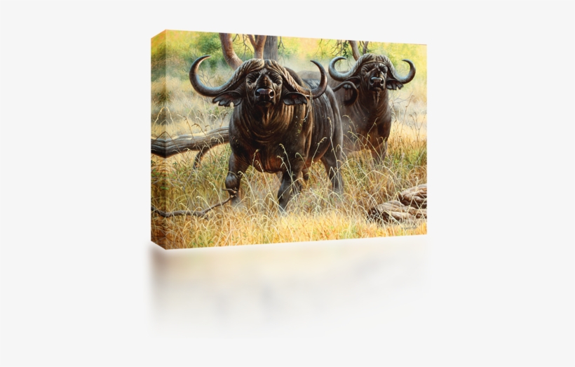 Africa Water Buffalo - Art Transparent PNG - 500x500 - Free Download on ...