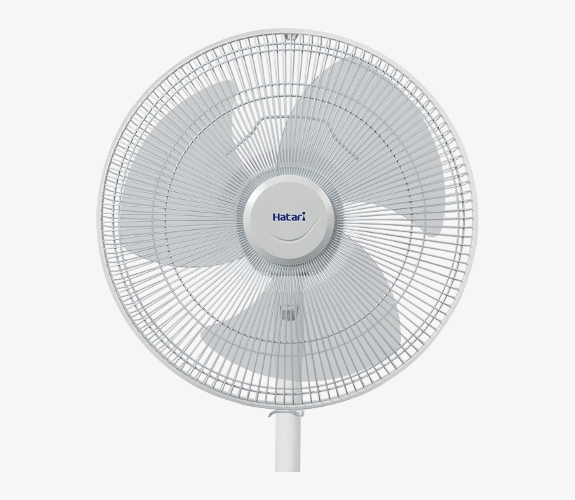 Portable Series - Hatari Fan Transparent PNG - 545x633 - Free Download ...
