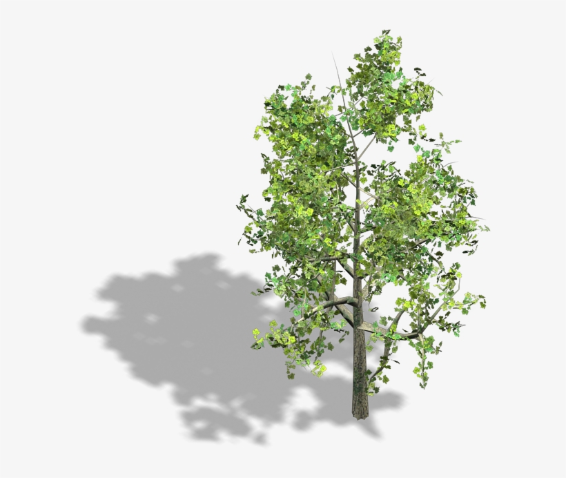 Download Preview - Trees For Axonometric Views - HD Transparent PNG - NicePNG.com