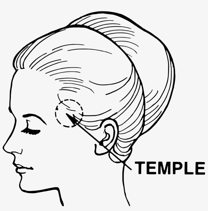 Temple Anatomy Transparent PNG - 1200x1163 - Free Download on NicePNG