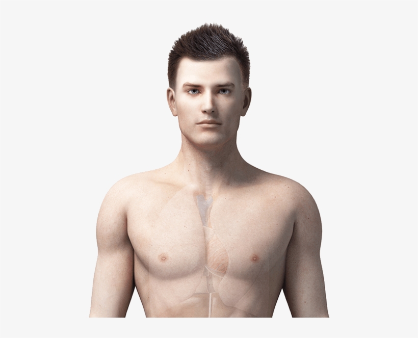 See How It Affects A Man - Man Body Png Transparent PNG - 591x597 ...