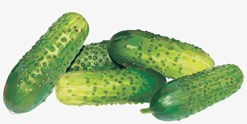 Cucumber Clipart Vegetable - Cucumber Sprite Png Transparent PNG ...