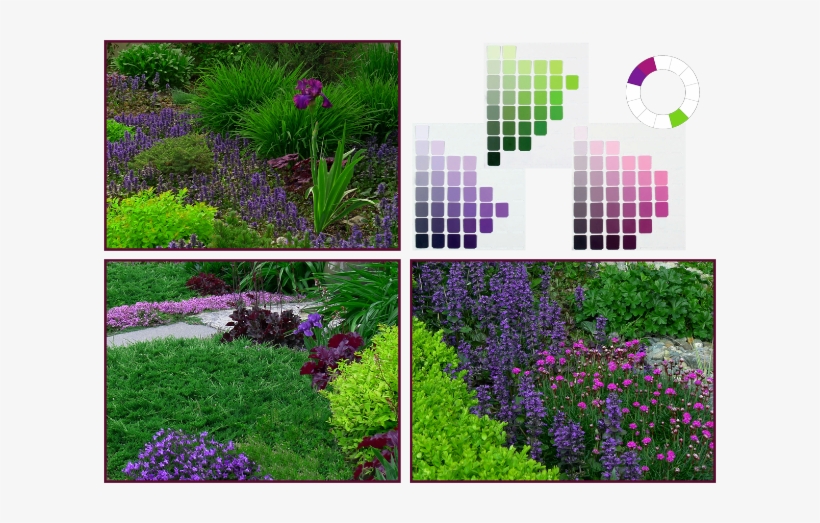 Download Analogous Complementary Colour Scheme - Complementary Colours ...