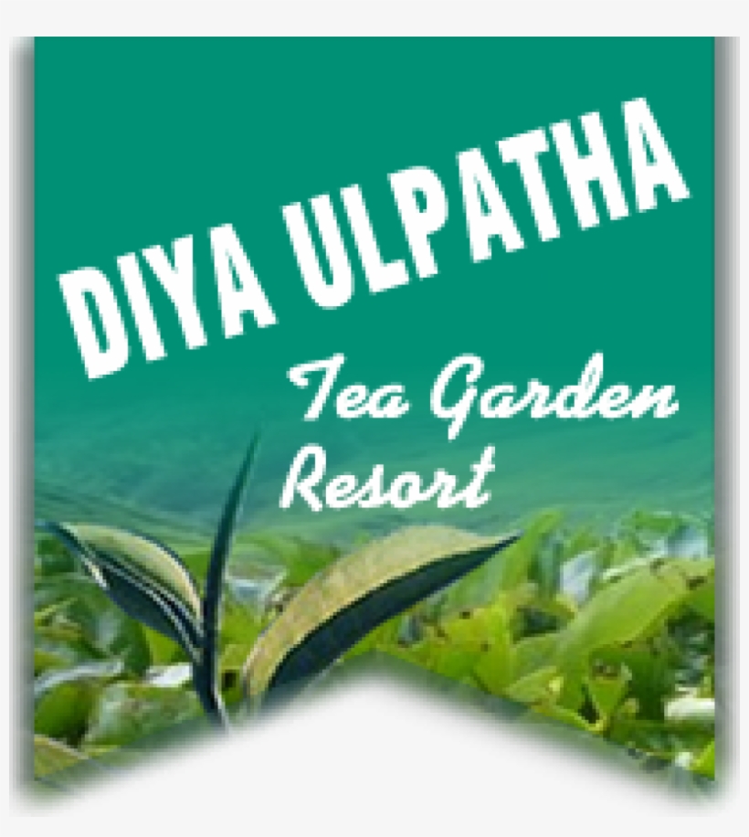 Logo - Diya Ulpatha Tea Garden Resort Transparent PNG - 1024x1094 ...