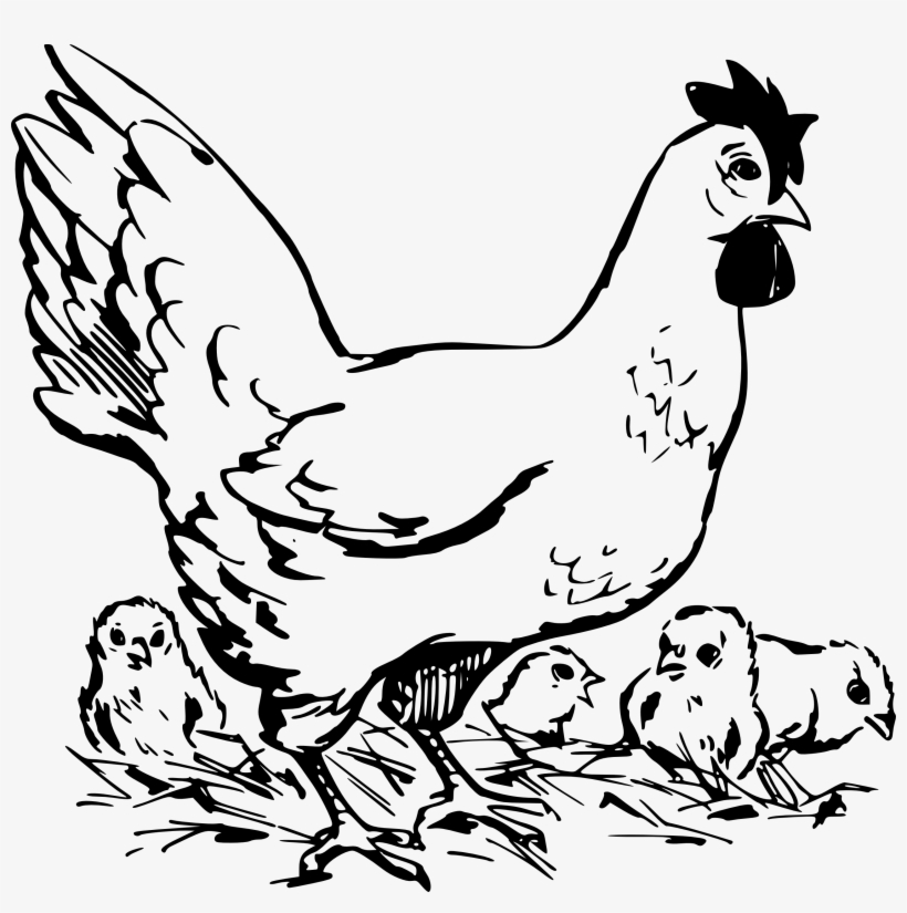 Clipart Hen Black And White