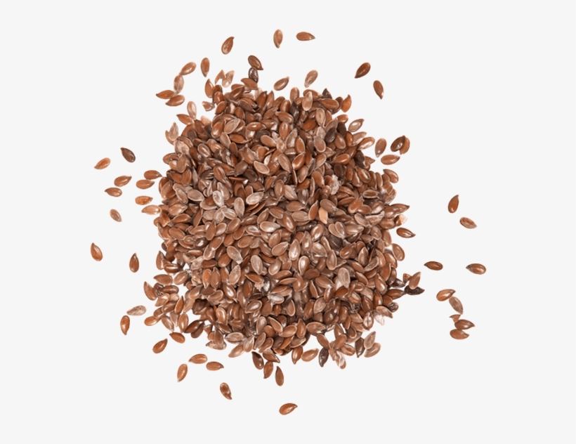 Flax Seeds Flax Seeds - Linseed Png Transparent PNG - 480x480 - Free ...