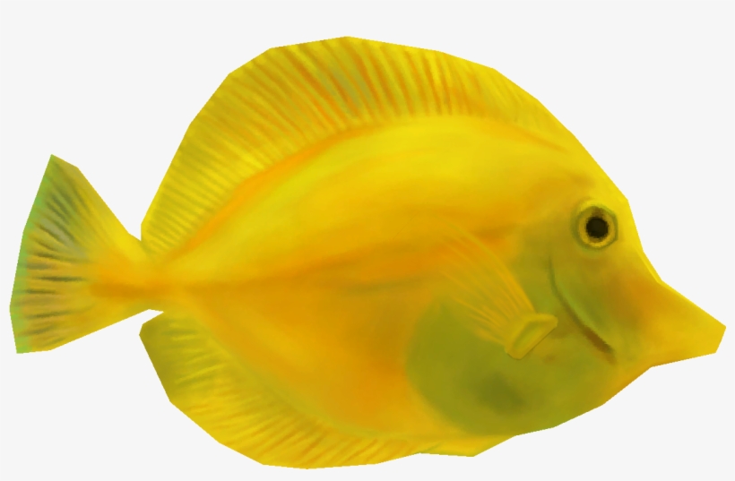 Yellow Tang Png Transparent PNG - 1161x713 - Free Download on NicePNG