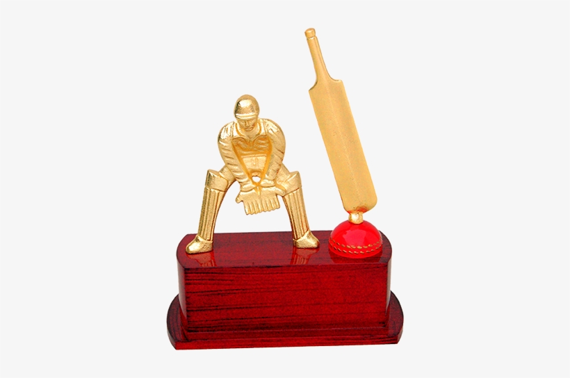 Metal Cricket Wicket Keeper Trophy, Shape - Cricket Trophies Png ...