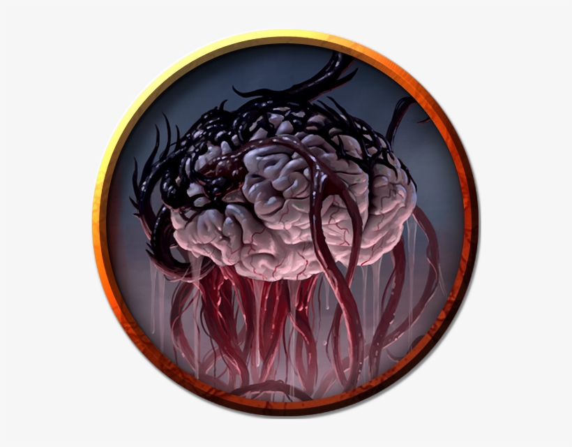 Elder Brain Transparent PNG - 560x560 - Free Download on NicePNG