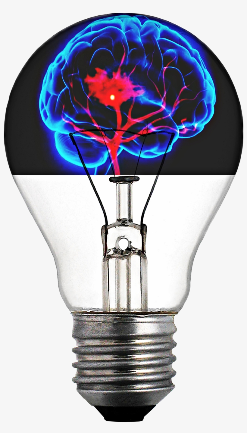 Com/en/light Bulb Brain - Normal Bulb Transparent PNG - 1440x1920 - Free Download on NicePNG
