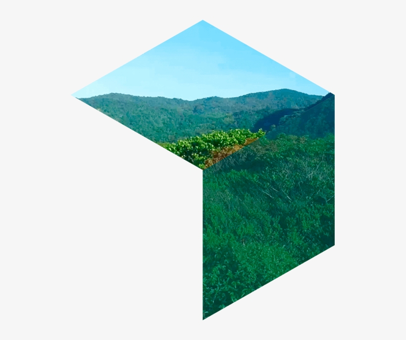 Background - E.bricks Ventures Transparent PNG - 533x606 - Free ...