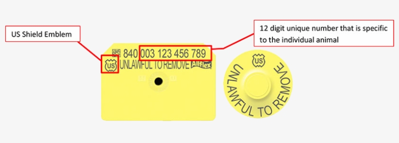 840 Ear Tag With Management Number Printed On Bottom - 840 Usda ...
