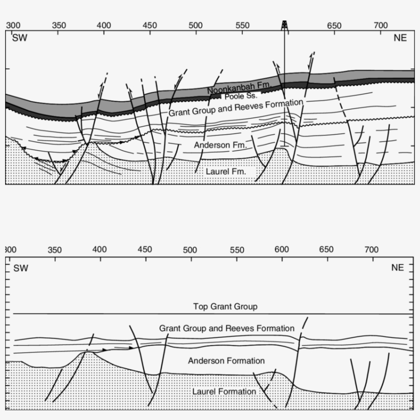 On The Top-grant Group Surface, Showing The Reeves - Diagram ...