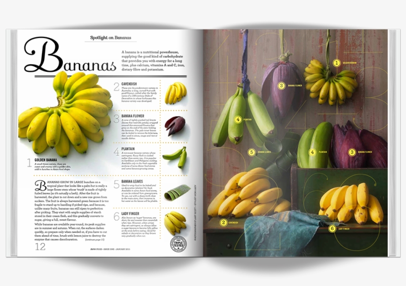 Think Big Design Group Is A New York Creative Agency - Page Layout ...