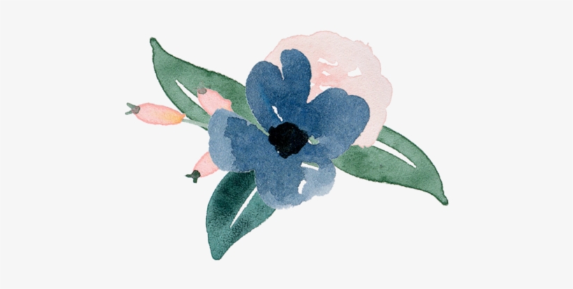 Black-eyed Susan Transparent PNG - 494x498 - Free Download on NicePNG