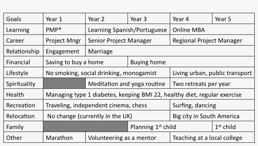 5 Year Business Plan Format Five Year Life Plan Template Transparent 
