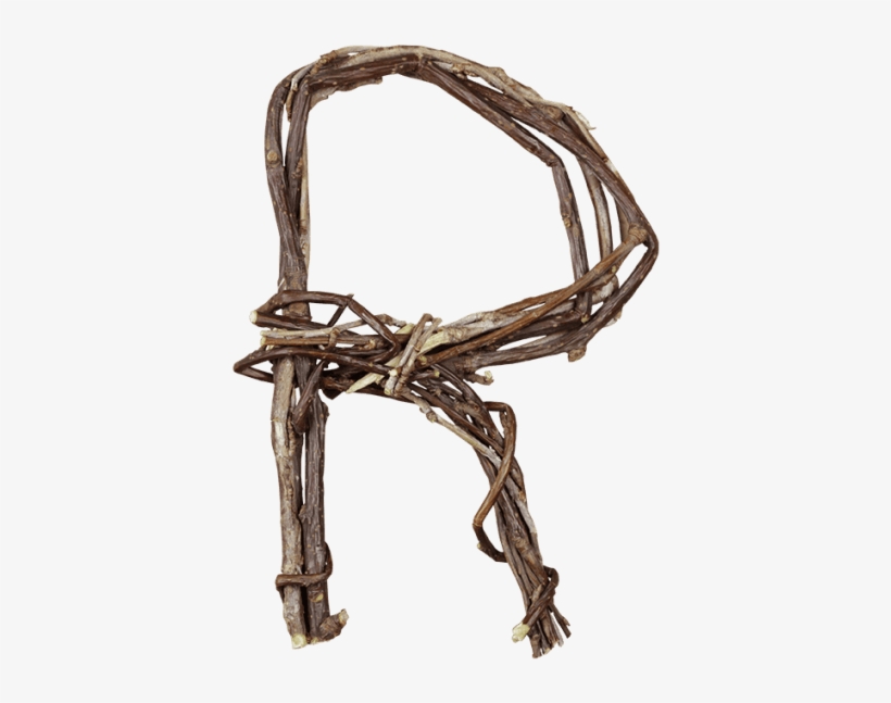 Tree Branch Font - Font Transparent PNG - 595x595 - Free Download on ...