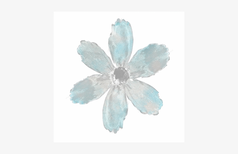 Margueritebg - Black-eyed Susan Transparent PNG - 450x450 - Free ...