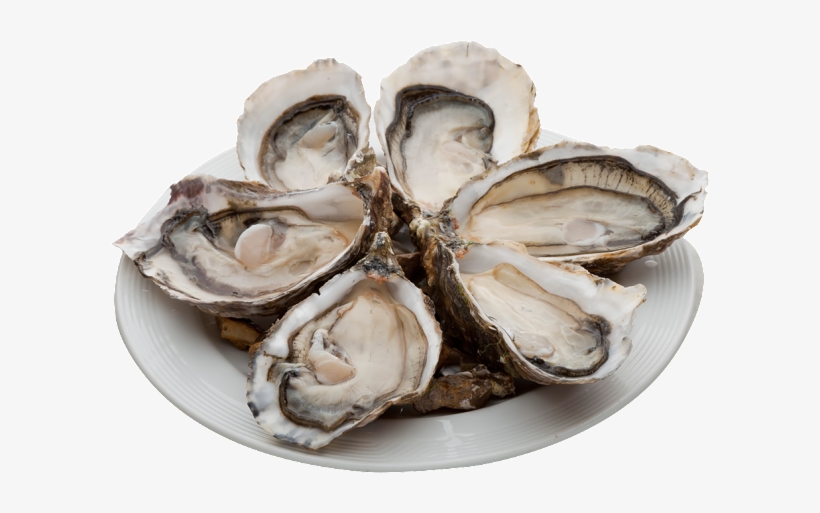 His Family Business, Established In 1939 On The Banks - Les Huitres Png ...